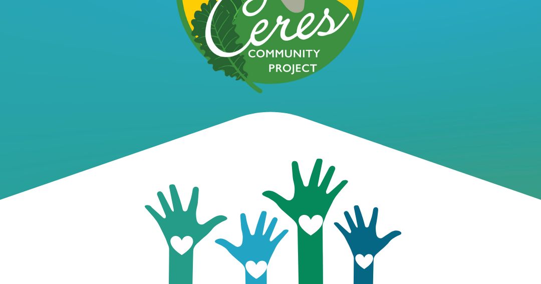 Willow Creek Team Volunteer Day with… | Willow Creek Wealth Management